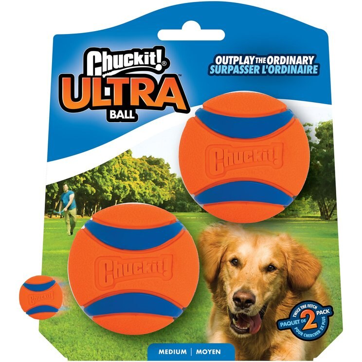 TOUGH CHEWER DOG TOYS (Free Shipping) | Chewy