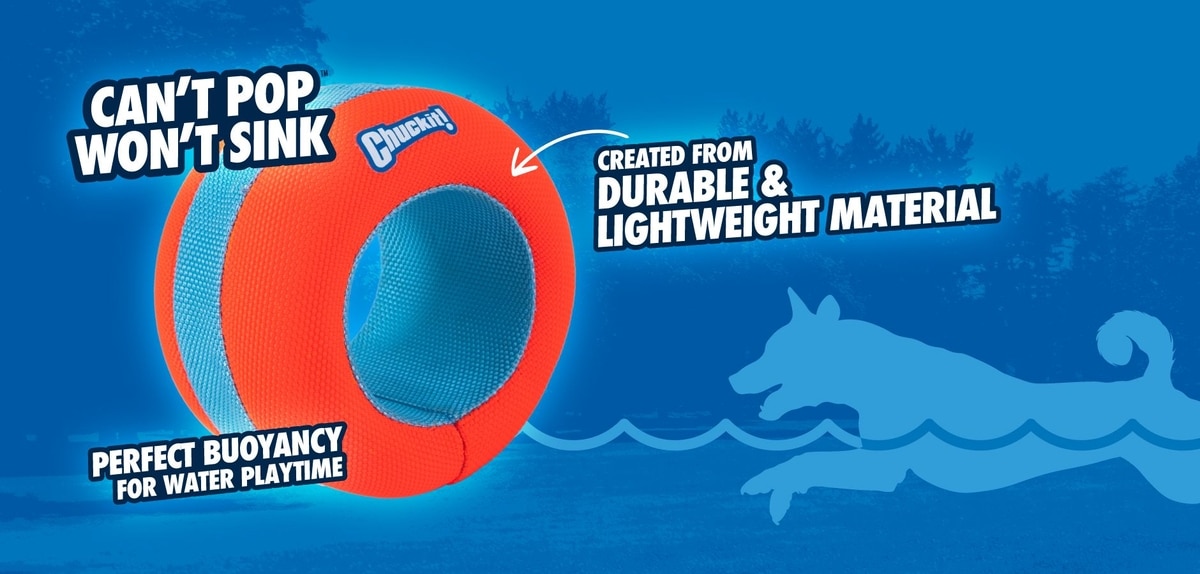 CHUCKIT! Zipflight Disc Dog Toy, Color Varies, Small - Chewy.com