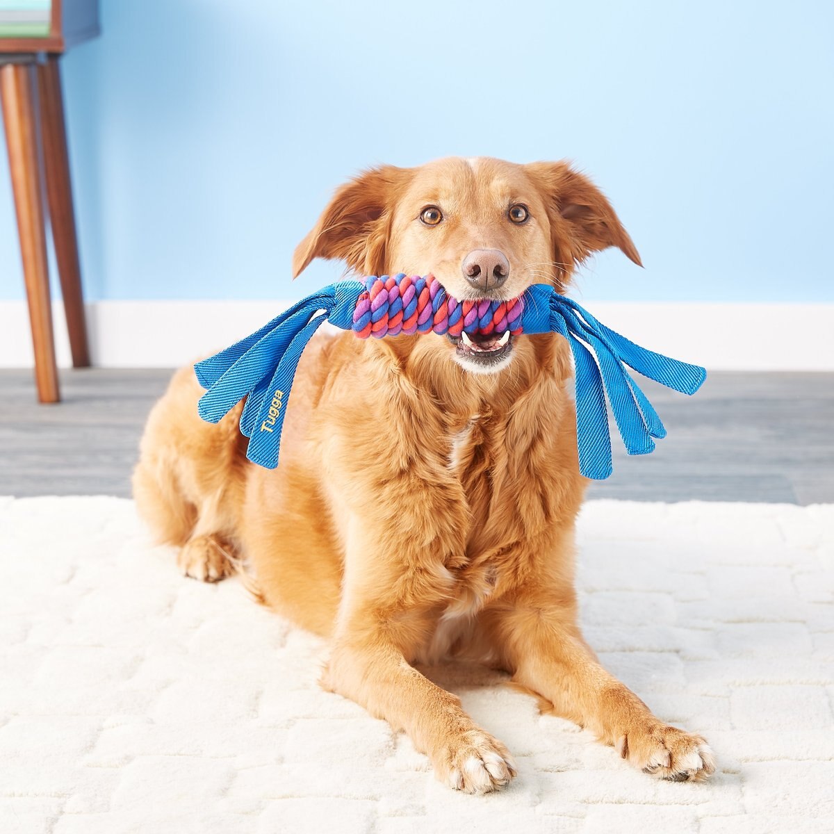 KONG Tugga Wubba Dog Toy, Color Varies, Large - Chewy.com