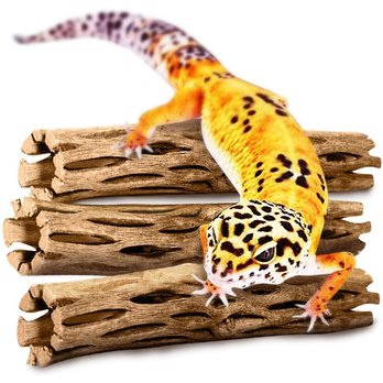 Leopard Gecko Habitat (Free Shipping) | Chewy