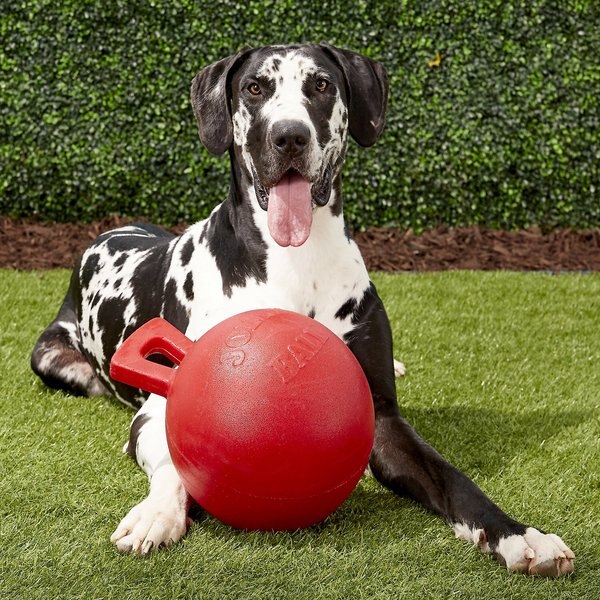JOLLY PETS Tug-n-Toss Dog Toy, Red, 10-in - Chewy.com