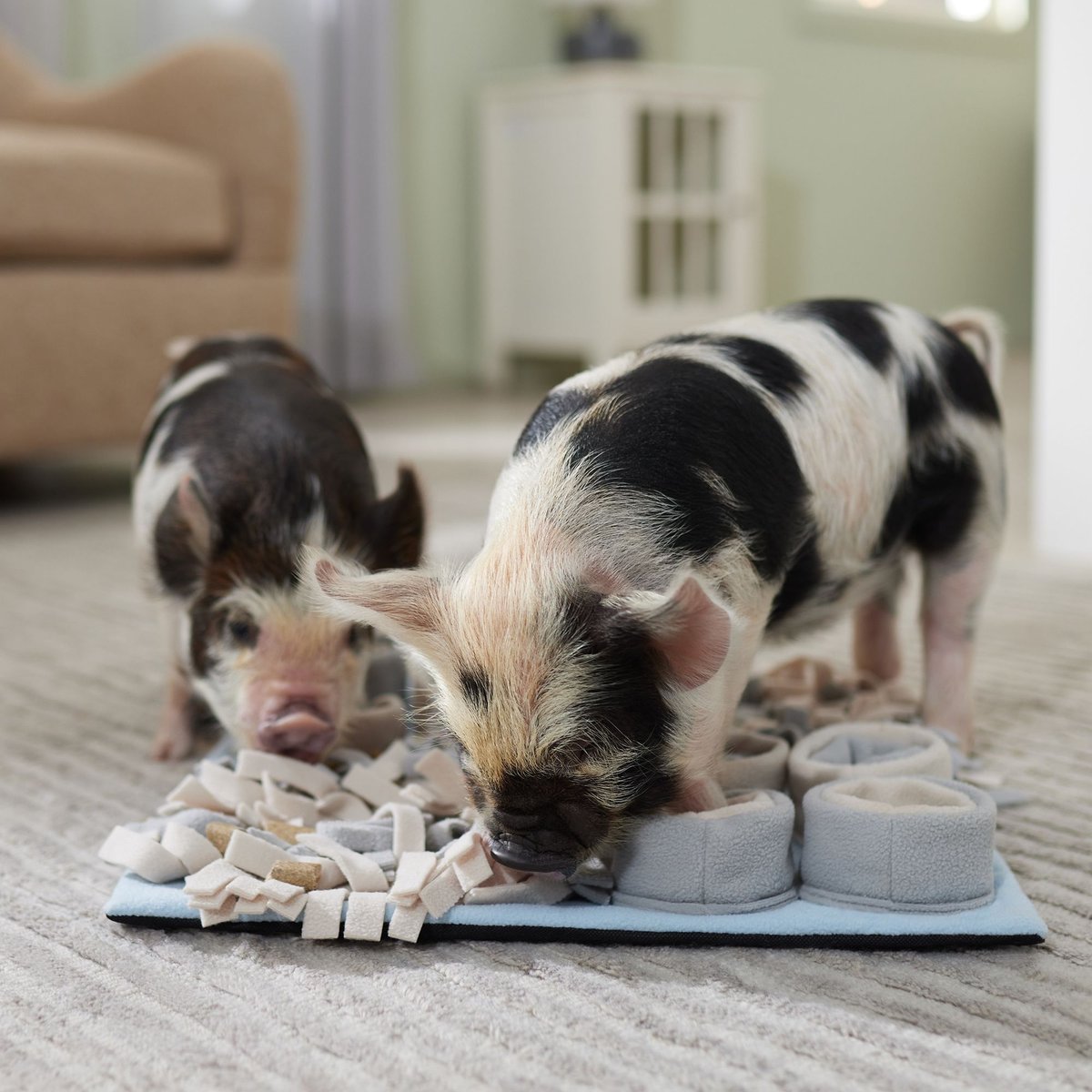 FRISCO Piggy Snuffle Activity Mat, Grey - Chewy.com