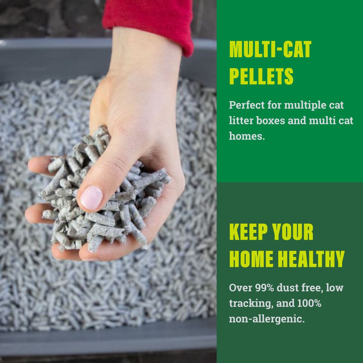 FRESH NEWS Non-Clumping Scented Paper Cat Litter, 25-lb bag - Chewy.com