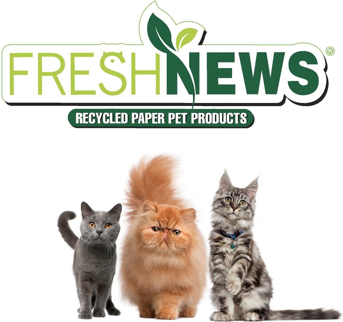FRESH NEWS Non-Clumping Scented Paper Cat Litter, 25-lb bag - Chewy.com
