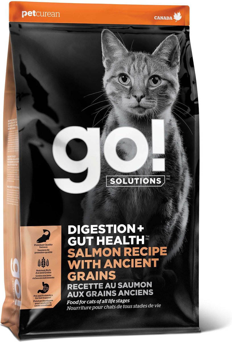 GO! SOLUTIONS Digestive + Gut Health Salmon Recipe with Ancient Grains for Cats, 8-lb bag ...