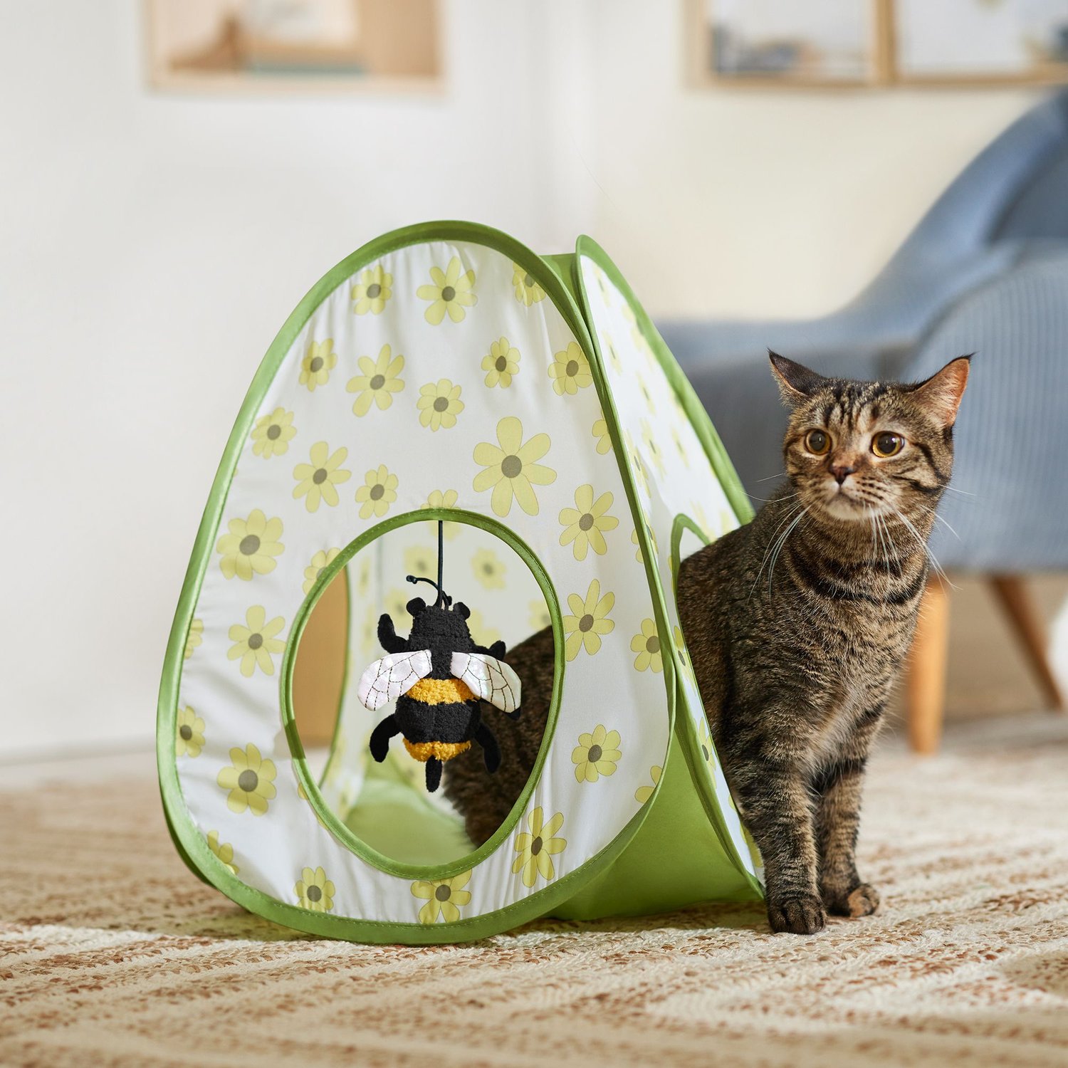 FRISCO Spring Daisy Pop-Up Tent Cat Toy with Catnip - Chewy.com