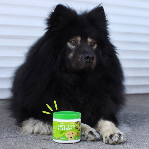 POINTPET Anti-Itch Support Peanut Butter Flavored Dog Soft Chews Supplement, 90 count - Chewy.com