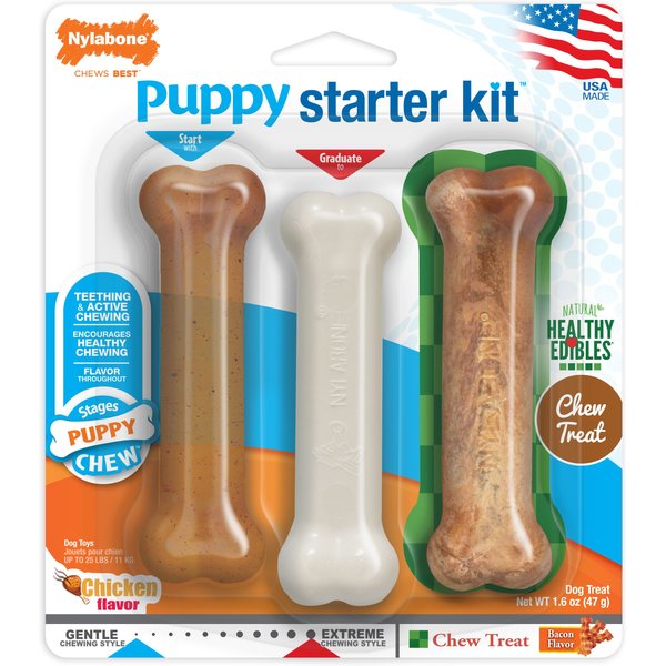 BENEBONE Bacon Flavor Tough Puppy Chew Toy, 2 count - Chewy.com