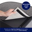 'Frisco Plastic Easy Step Cat & Dog Stair, Gray - Chewy.com