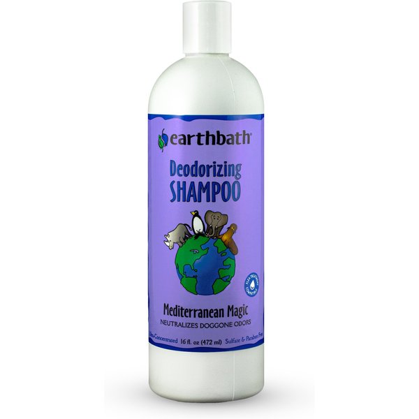 EARTHBATH Hypo-Allergenic Dog & Cat Shampoo, 16-fl oz bottle - Chewy.com