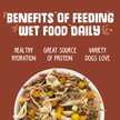 WERUVA Wok the Dog with Chicken, Beef & Pumpkin in Gravy Grain-Free ...