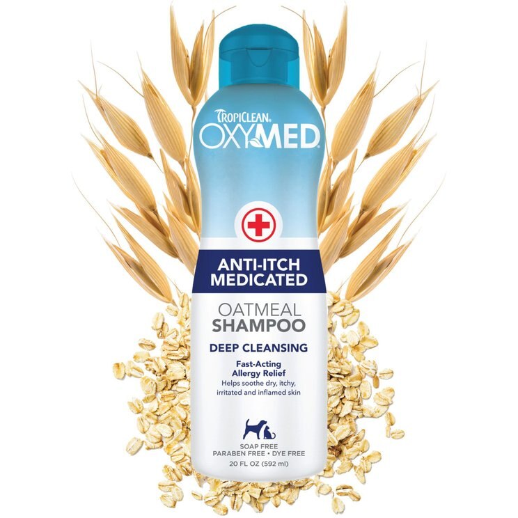 Best Dog Skin Care Products: Low Prices (Free Shipping) | Chewy