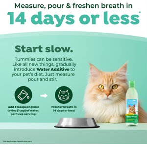 10 Best Water Additives for Cats 2025: According to Reviews | Chewy