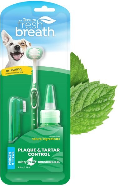TROPICLEAN Fresh Breath Oral Care Small/Medium Dog Toothbrush Kit - Chewy.com