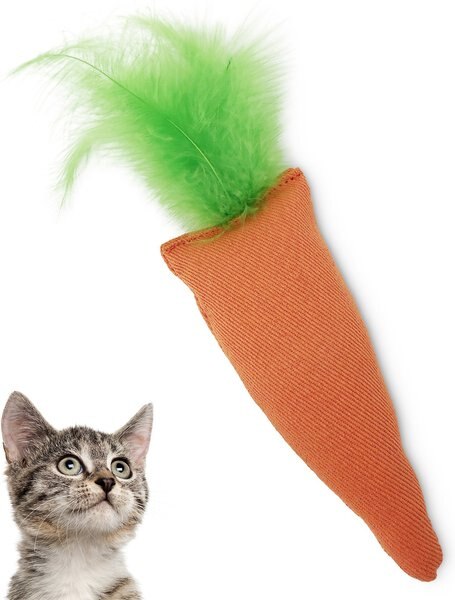 OURPETS Catnip 24 Karat Cat Toy - Chewy.com