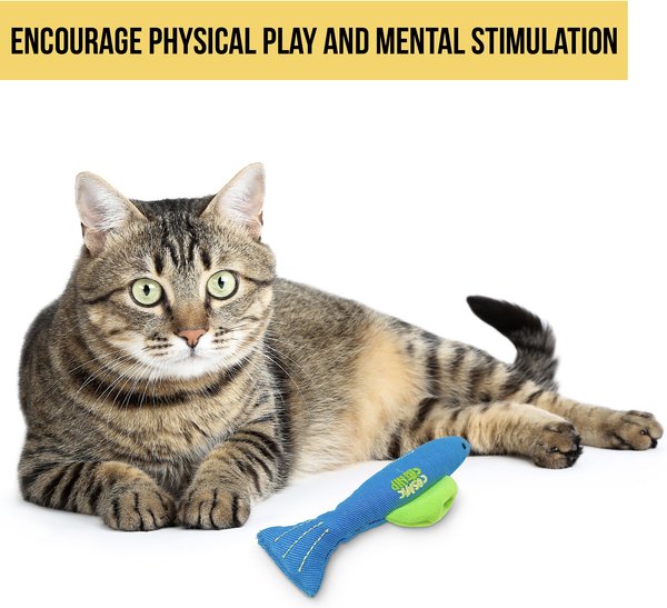 Out of Stock - OURPETS Annette Fish Cat Toy - Chewy.com