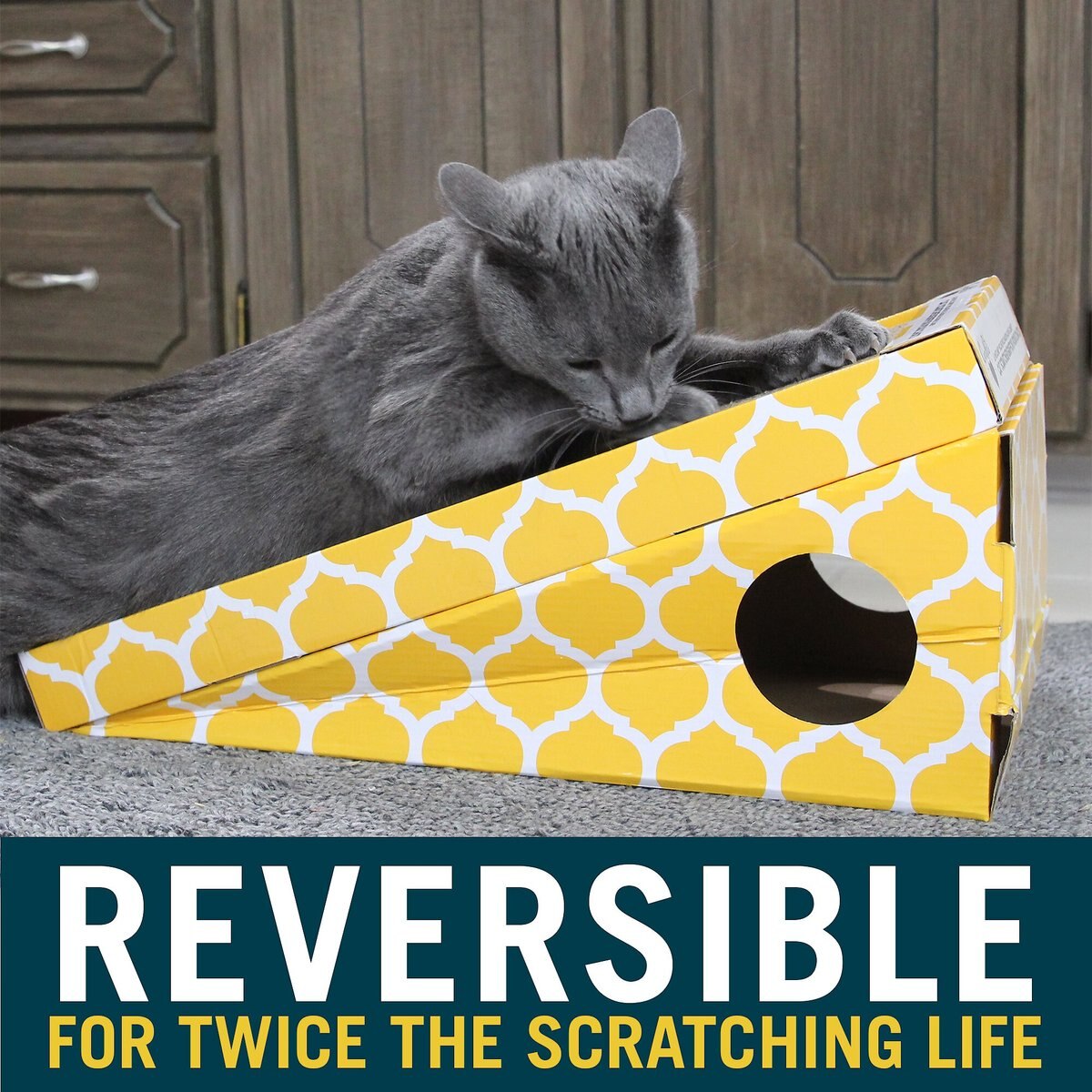 Out of Stock - OURPETS Alpine Climb Cat Scratcher, Color Varies - Chewy.com