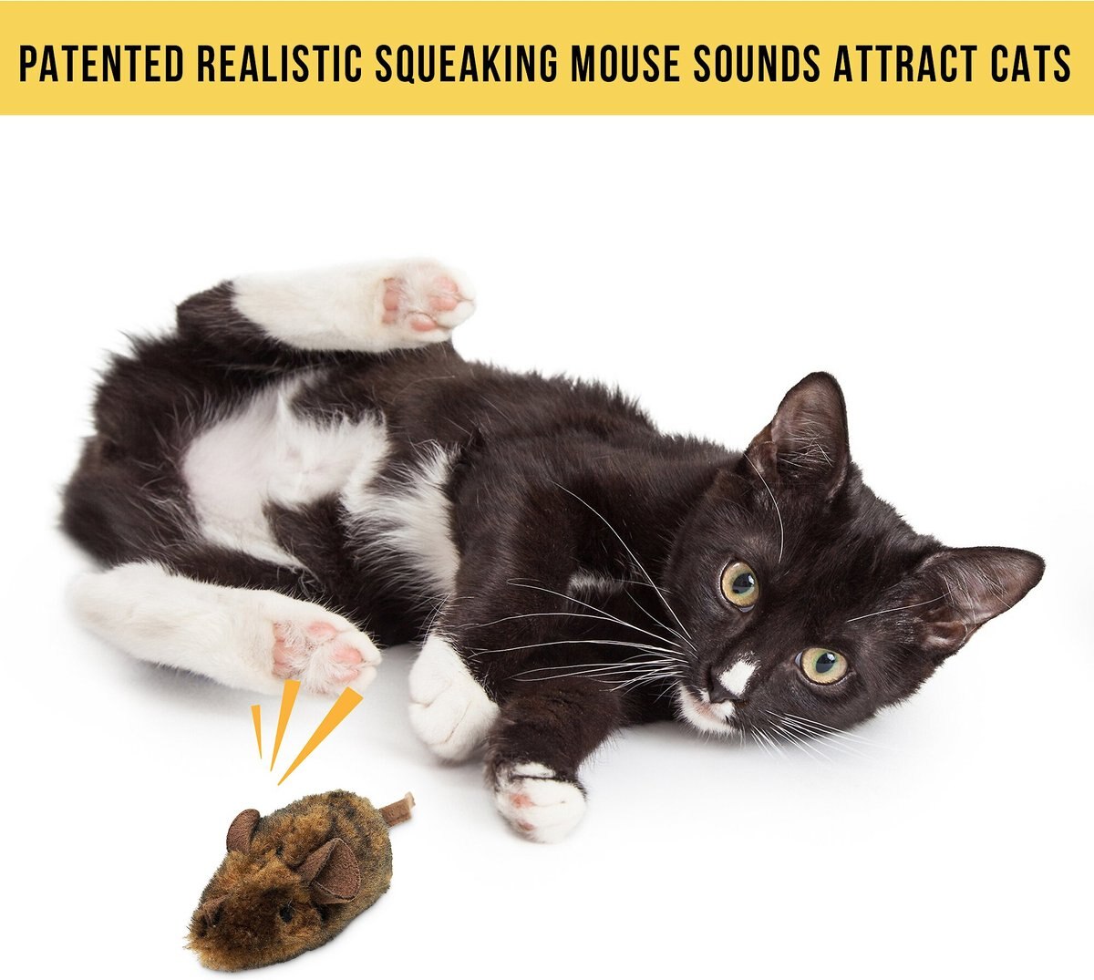 PET ZONE Play-N-Squeak MouseHunter Cat Toy with Catnip - Chewy.com