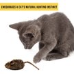 PET ZONE Play-N-Squeak MouseHunter Cat Toy with Catnip - Chewy.com