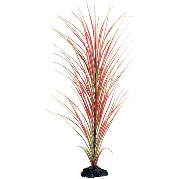 UNDERWATER TREASURES Sunfire Passion Fish Plant, 12-in - Chewy.com
