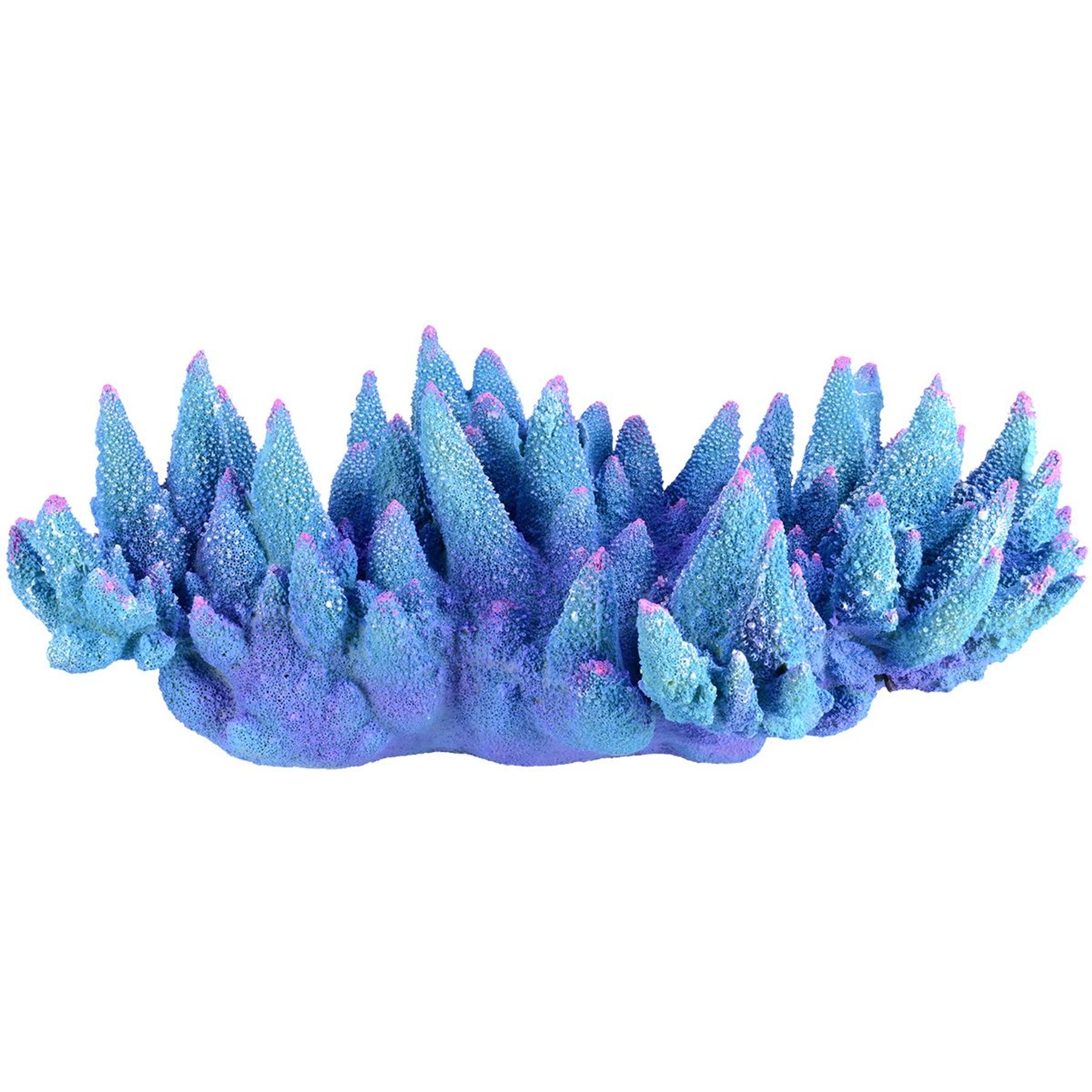 UNDERWATER TREASURES Blue Acro Coral Show Fish Ornament - Chewy.com