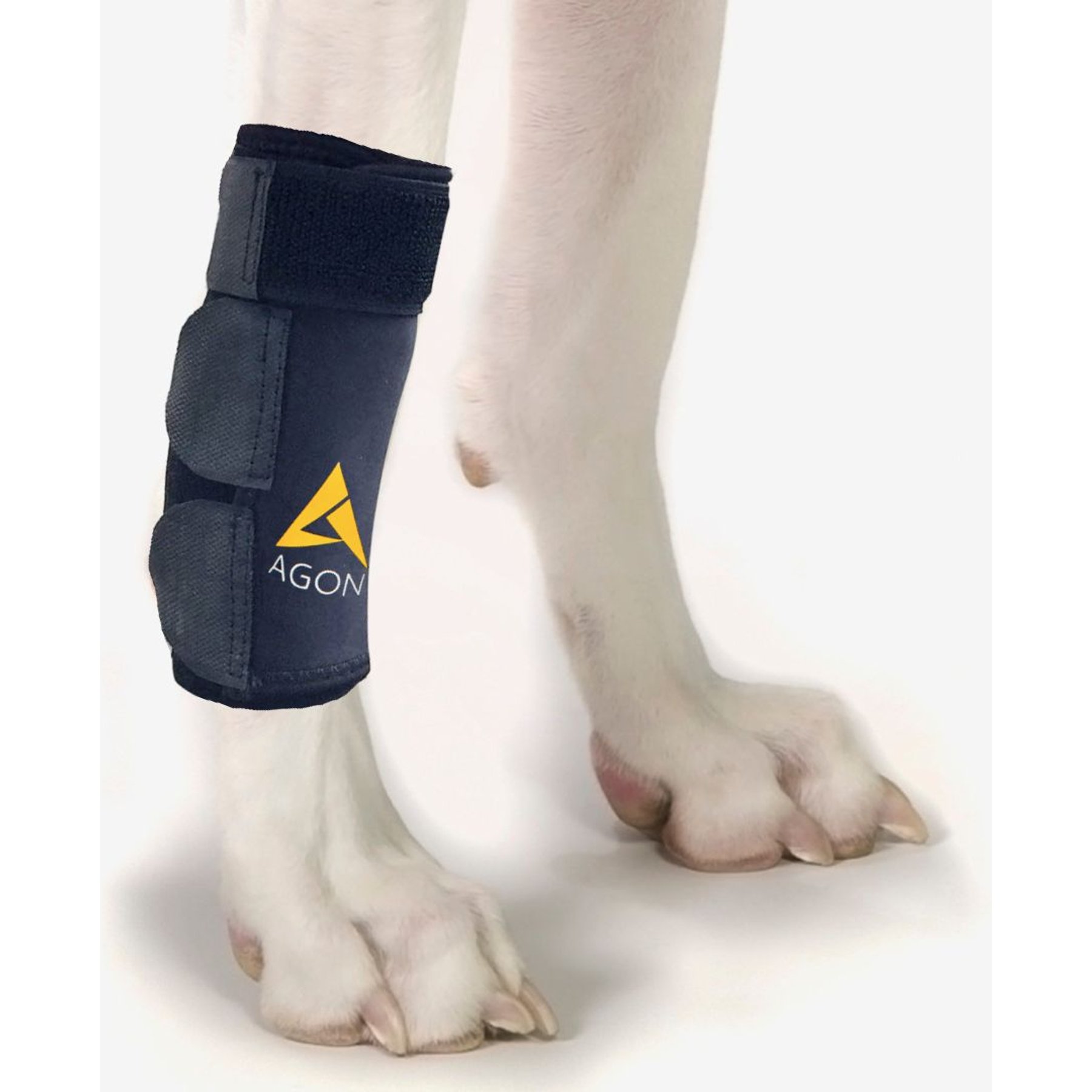 AGON Front Leg Brace & Wound Protection Paw Compression & Wrap for Dogs ...