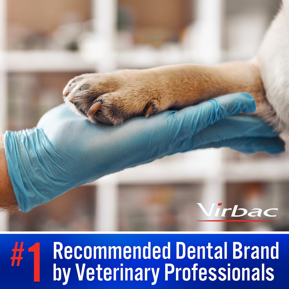 VIRBAC C.E.T. Enzymatic Vanilla Mint Flavored Dog & Cat Toothpaste, 70 ...