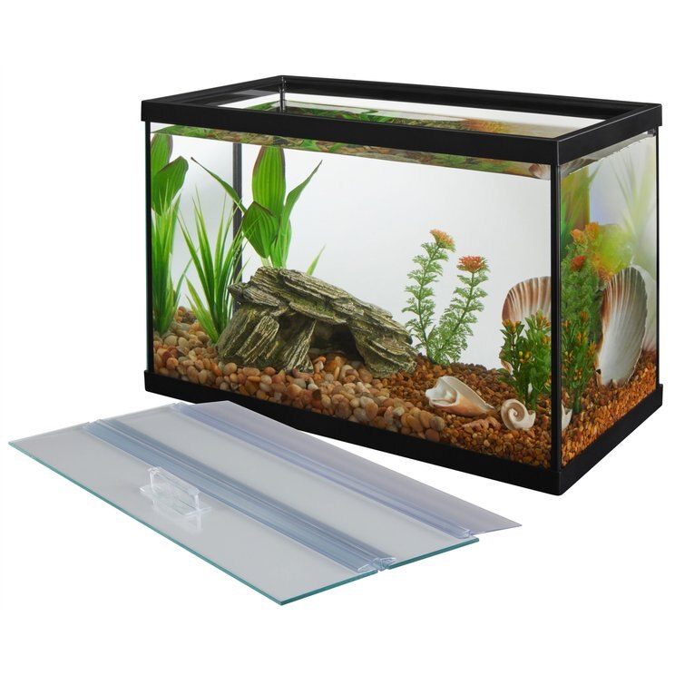 5 Gallon Fish Tank (Free Shipping) | Chewy