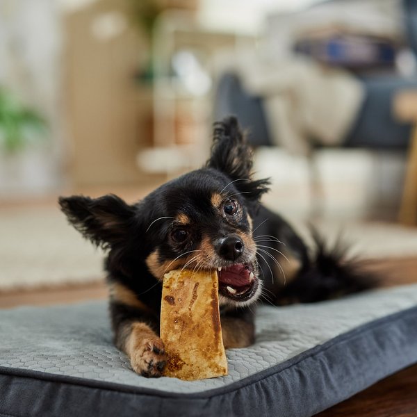 BONES & CHEWS Bully Strips Peanut Butter Flavor Beef Dog Treats, 9-oz ...