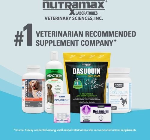 NUTRAMAX Imuquin with Beta Glucans, Marine Lipids, Vitamins & Minerals ...