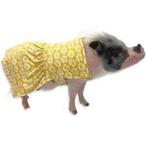 MORTY'S PIG CLOTHES Summer Sun Cloak UV Protection Mini Pig Dress ...