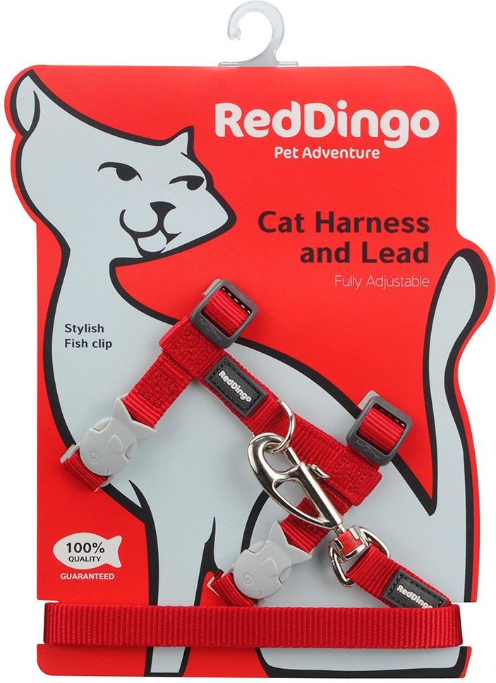 RED DINGO Classic Nylon Cat Harness & Leash, Red, 10.6 to 18.9-in chest ...