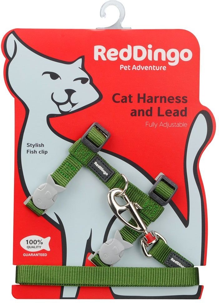 RED DINGO Classic Nylon Cat Harness & Leash, Green, 10.6 to 18.9-in ...