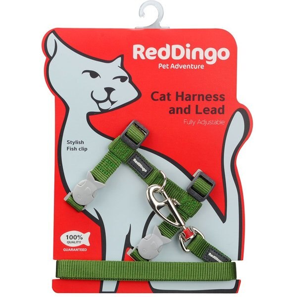 RED DINGO Classic Nylon Cat Harness & Leash, Green, 10.6 to 18.9-in ...