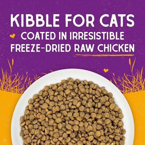 STELLA & CHEWY'S Chicken Flavored Raw Coated Cage Free Dry Cat Food, 10 ...