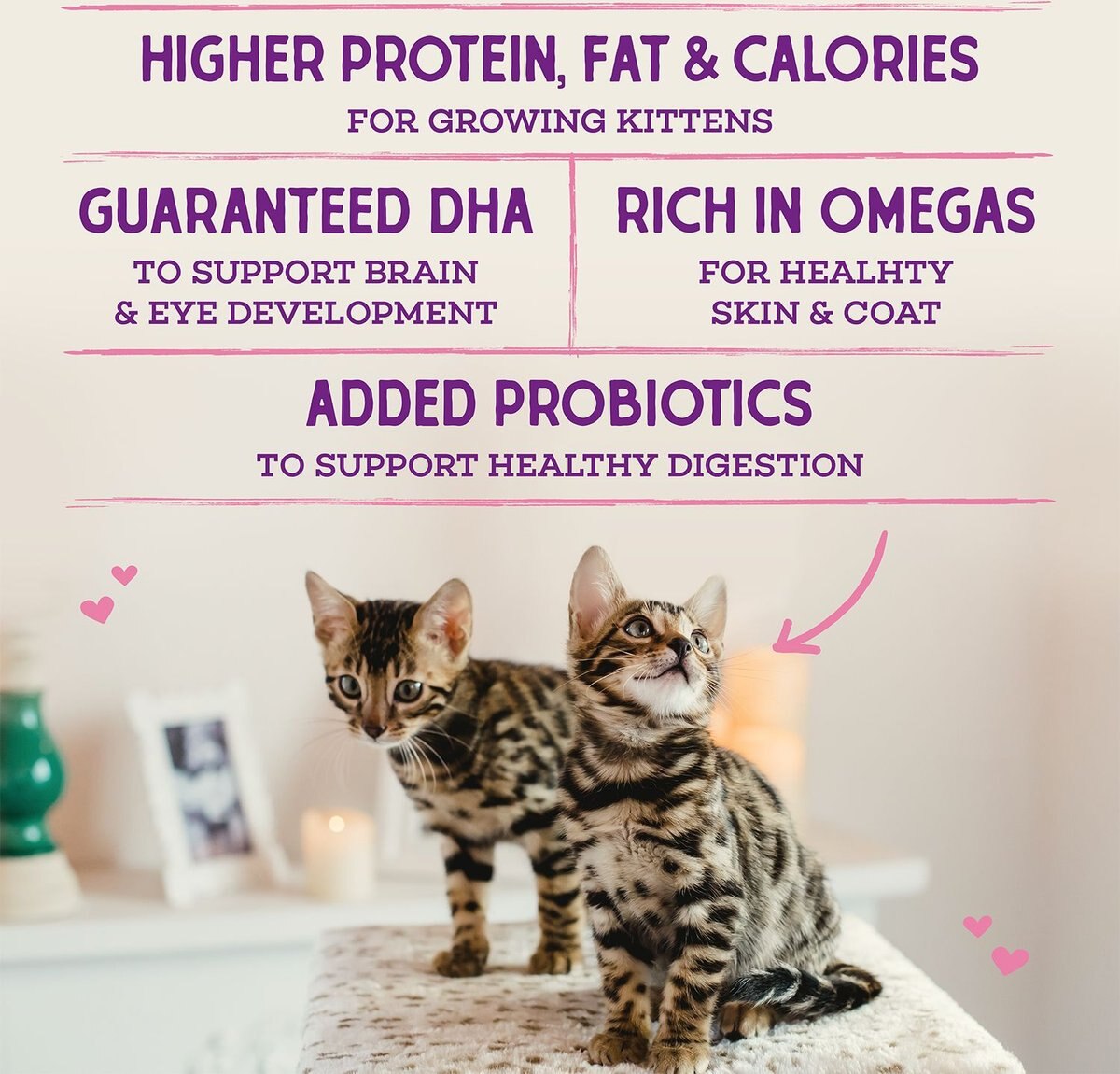 STELLA & CHEWY'S Chicken Flavored Raw Coated Cage-Free Kitten Dry Cat ...