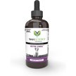 VETRISCIENCE Vetri-DMG Liquid Immune Supplement for Dogs, Cats & Birds ...
