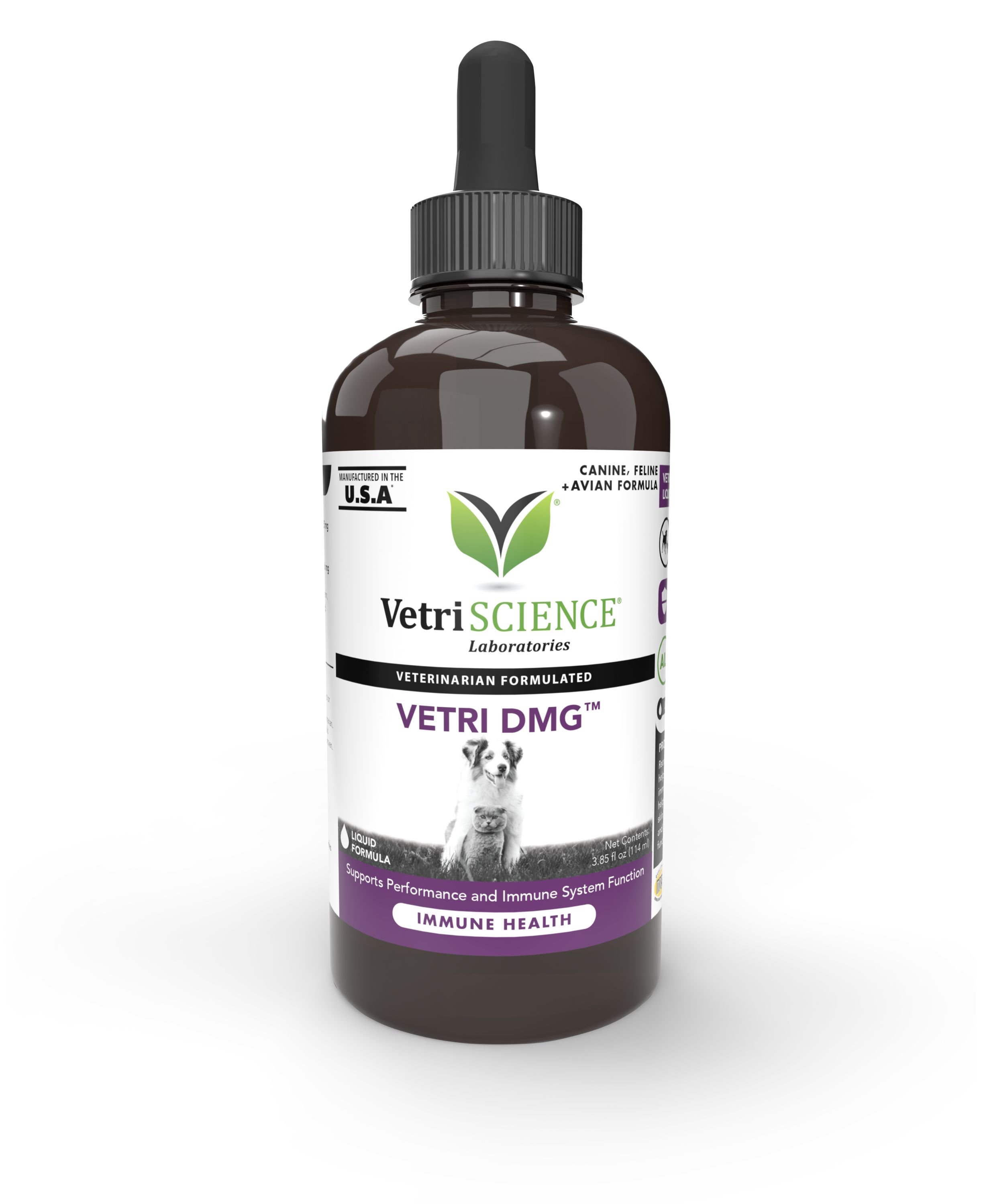 VETRISCIENCE Vetri-DMG Liquid Immune Supplement for Dogs, Cats & Birds ...
