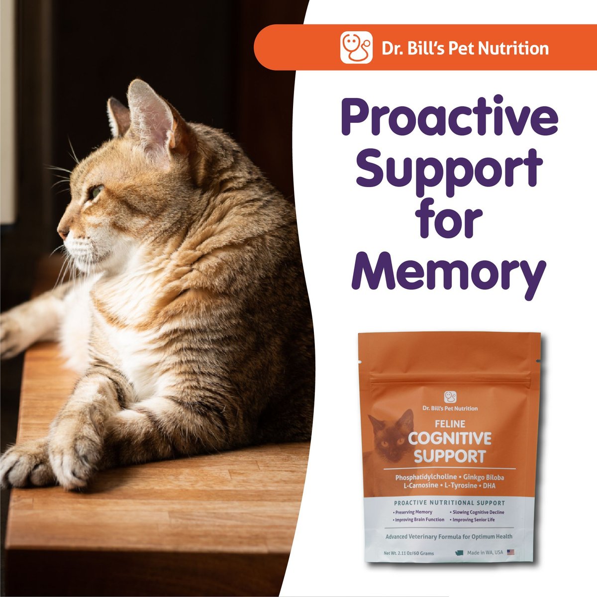 DR. BILL'S PET NUTRITION Feline Cognitive Support Cat Supplement Powder ...