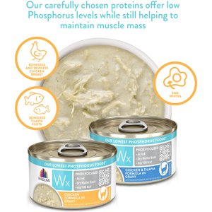 10 Best Shredded Wet Cat Foods 2024: According to Reviews | Chewy