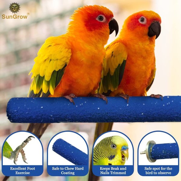 SUNGROW Nail & Beak Trimmer Sand Coated Wooden Bird Perch Stand, Blue ...