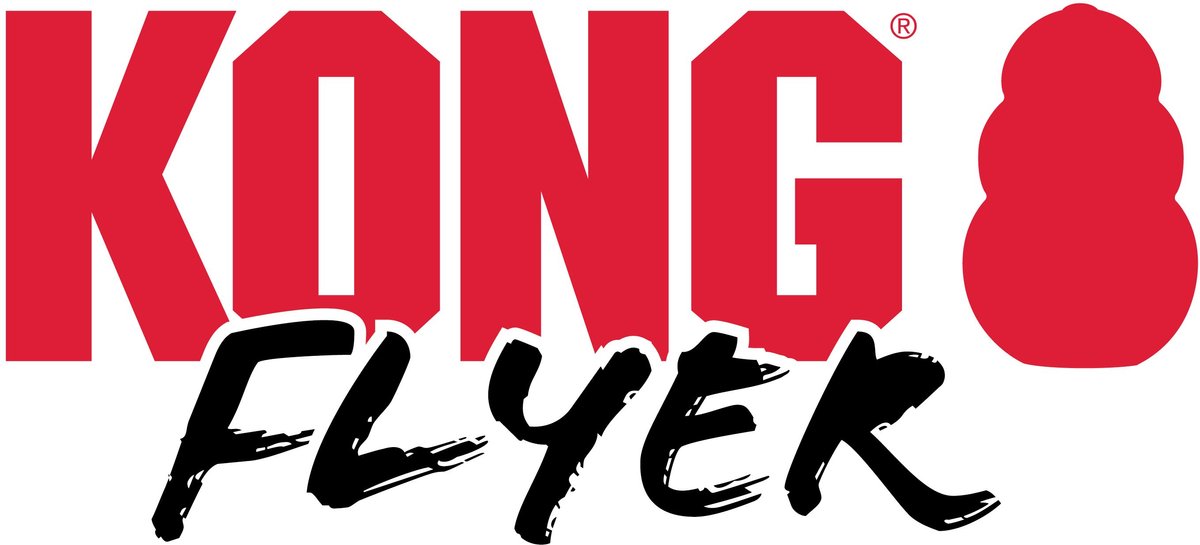 KONG Extreme Flyer Dog Toy - Chewy.com