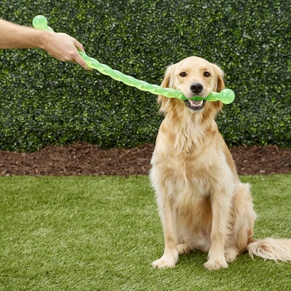 KONG Safestix Dog Toy, Color Varies, Large - Chewy.com