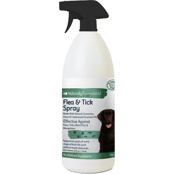 ADAMS Plus Flea & Tick Pet Spray, 32-oz bottle - Chewy.com