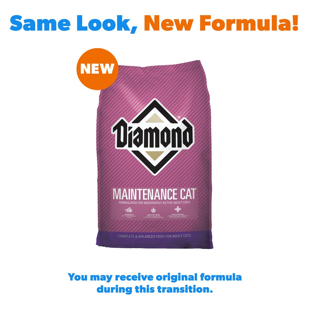 DIAMOND Maintenance Formula Adult Dry Cat Food, 6-lb bag - Chewy.com