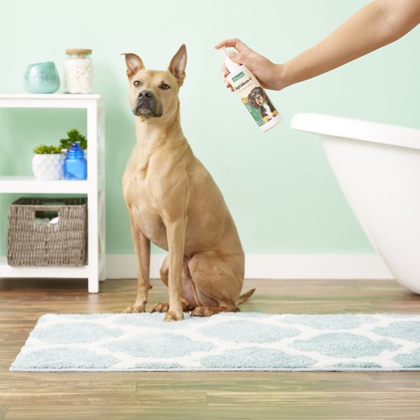 NATURVET Septiderm-V Skin Care Lotion Dog & Cat Spray, 8-fl oz bottle ...