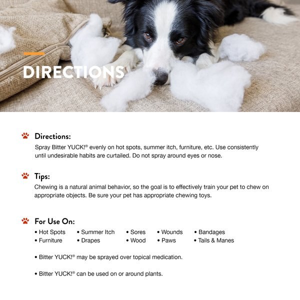 NATURVET Bitter YUCK! No Chew Dog, Cat & Horse Spray, 8-fl oz bottle ...