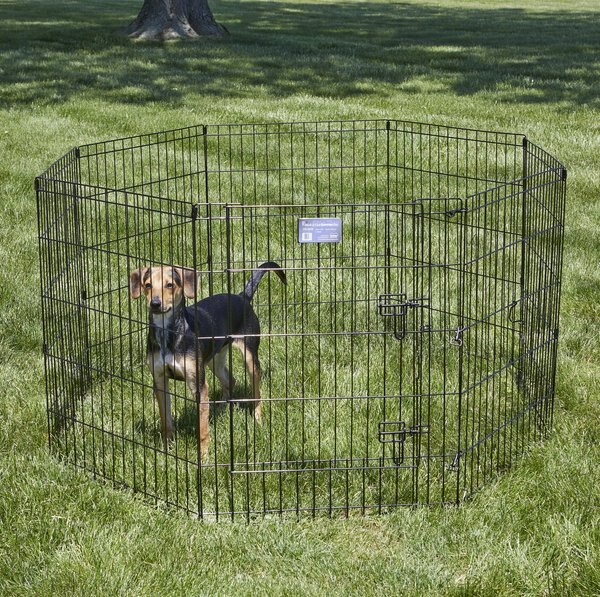 MIDWEST Wire Dog Exercise Pen with Step-Thru Door, Black E-Coat, 30-in ...
