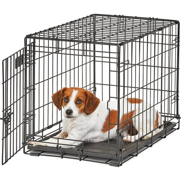 MIDWEST LifeStages Single Door Collapsible Wire Dog Crate, 24 inch ...