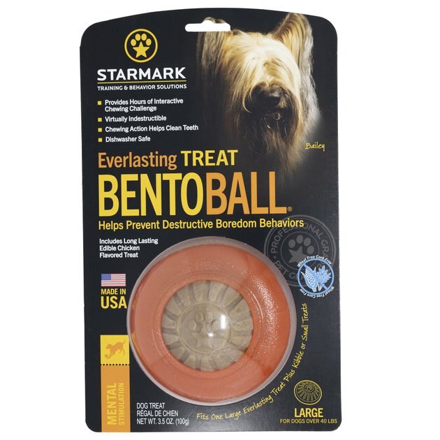 STARMARK Everlasting Treat Bento Ball Tough Dog Chew Toy, Large - Chewy.com